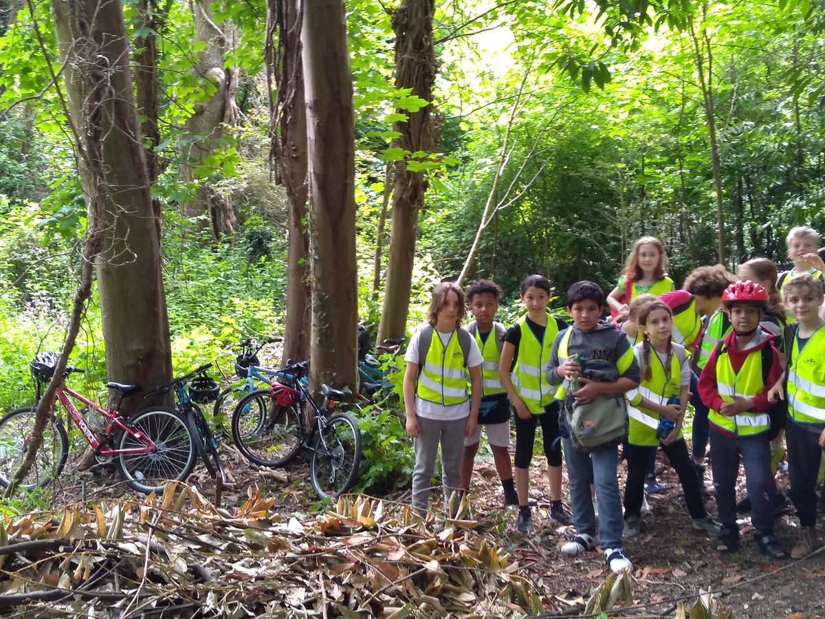 Sussex Wildlife Trust in Brighton & Hove – Our City, Our World