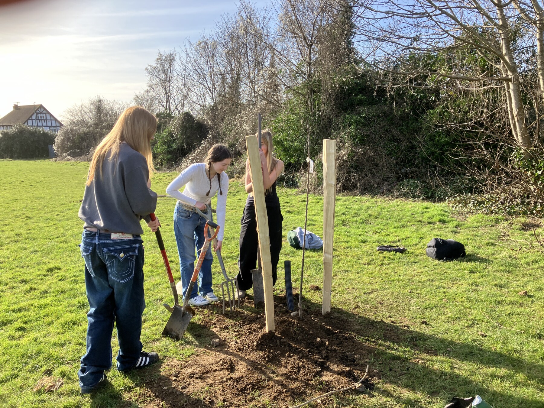 Tree Planting on BHASVIC Field